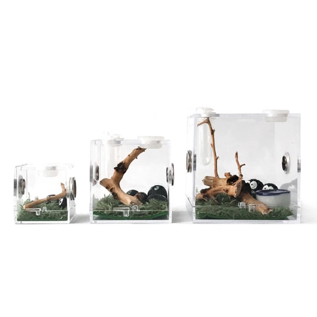 BREEDING BOX TRANSPARENT Insect Feeding Boxes Portable Acrylic Reptile ...