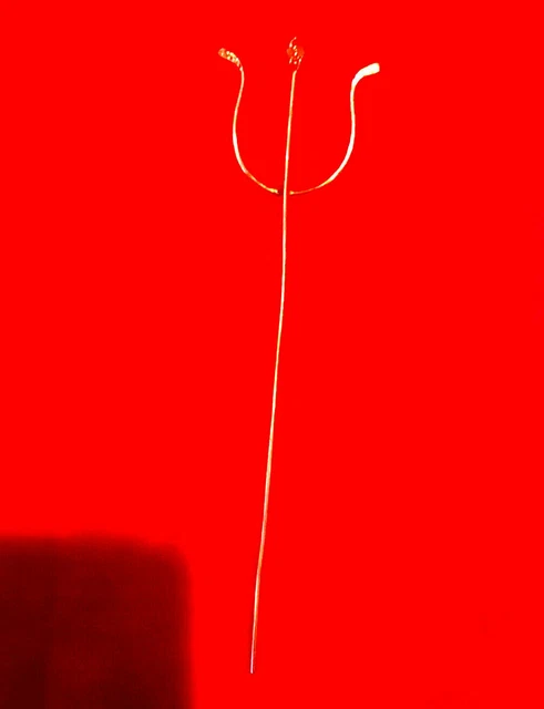 LORD SHIVA TRISHUL Trishool Maa Durga Trident Copper Shivling Hindu ...