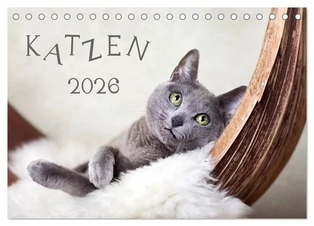 NAILIA SCHWARZ | Katzen 2026 (Tischkalender 2026 DIN A5 quer), CALVENDO ...