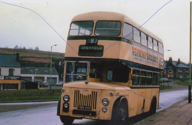 BUS PHOTO SHEFFIELD Transport 1295 Photograph Leyland Titan Picture ...