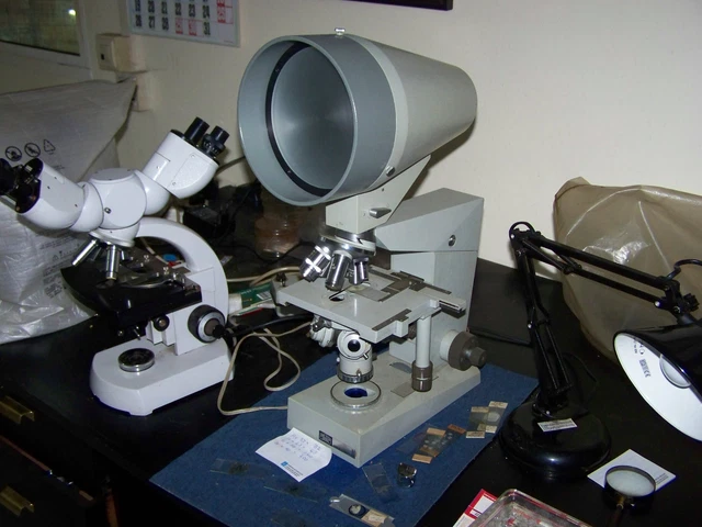 MIKROSKOP MICROSCOPE CARL Zeiss Jena AMPLIVAL EUR 390,00 - PicClick ES