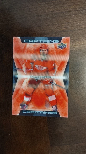 2024 TIM HORTONS Greatest Duos Captain Connections Dylan Larkin / Nico ...