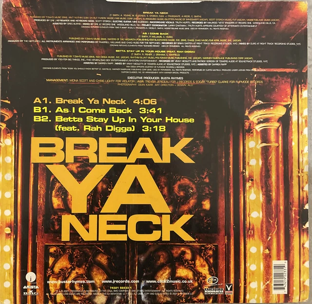 BUSTA RHYMES Break Ya Neck/As I come Back/Betta Stay Up In Your House 12” EUR 5,84 - PicClick FR