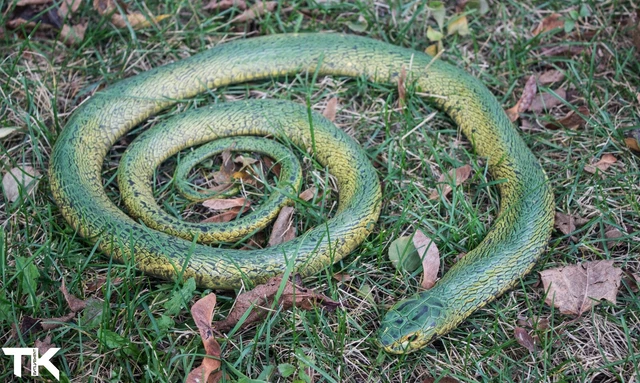 REALISTIC GREEN SNAKE large 60" Rubber prop toy nature garden animal ...