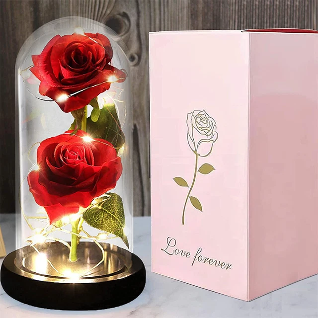 BEAUTY AND THE Beast Flower LED Rose in Glass Dome Women Gifts ...