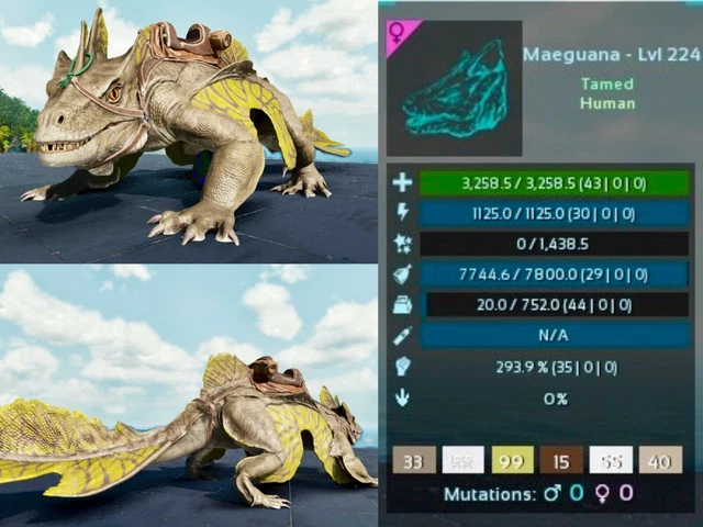 ARK SURVIVAL ASCENDED pve New Dino Maeguana, Level 224 Max Tamed, 752 ...