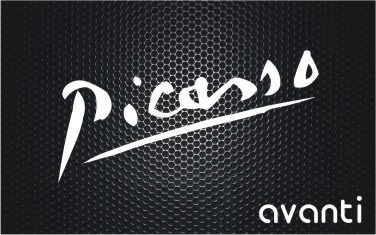 CITROEN PICASSO DECALS , Picasso logo, Adhesive, Body Panel, Graphic ...