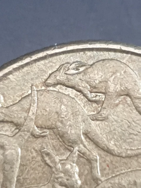 2010 - 1 Dollar Mob of Roos Coin- MASSIVE Rabbit Ear CUD Error - Circ ...