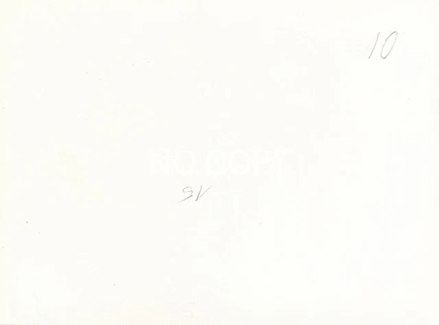 FOTO WW2 GEBIRGSJÄGER mit Muli in Norwegen am Flugplatz X156 EUR 34,90 ...