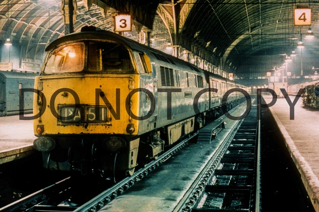 UK DIESEL TRAIN Railway Photograph Of Class 52 Western D1065. Rm52-168 ...