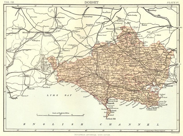 DORSET. COUNTY MAP . Britannica 9th edition 1898 old antique plan chart ...