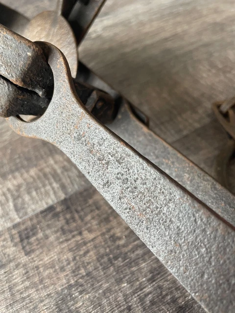 2 1/2 NEWHOUSE trap with TEETH, chain, ring and stamped spring ...