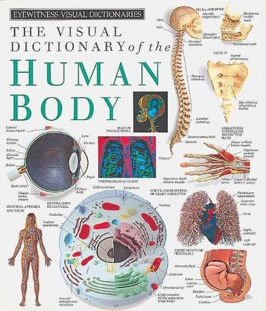 EYEWITNESS VISUAL DICTIONARIES: The Visual Dictionary of the Human Body ...