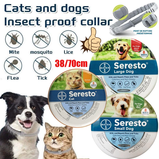 COLLIER ANTI-INSECTES-PUCES ET tiques 8 mois protection pour Chiens et ...