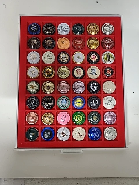 LOT DE 48 Capsules De Champagne Sans Doubles EUR 10,00 - PicClick FR