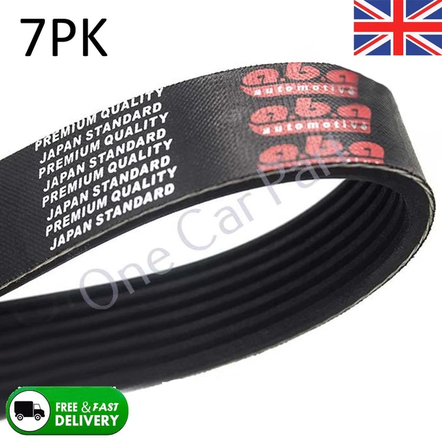 7 RIB MULTI V Drive Belt 7PK1125 117201KT0A 8200072113 8200833550 ...
