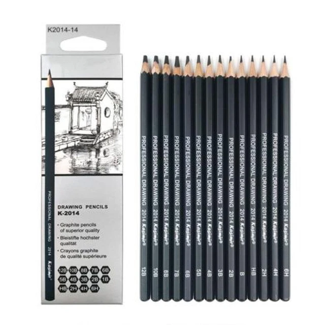 CROQUIS ART DESSIN Crayon Croquis Graphite Artiste Croquis Doux 6H-12B ...