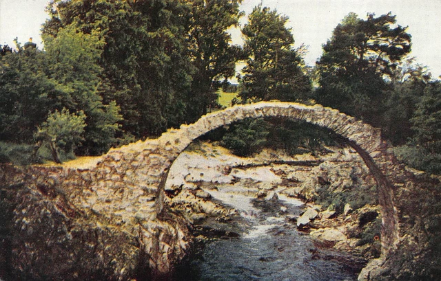 THE OLD BRIDGE at Carrbridge Inverness-Shire Vintage Postcard EUR 5,73 ...