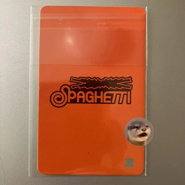 LE SERAFIM SPAGHETTI avec muu RBidoro Chaewon Z3 EUR 106,72 - PicClick FR