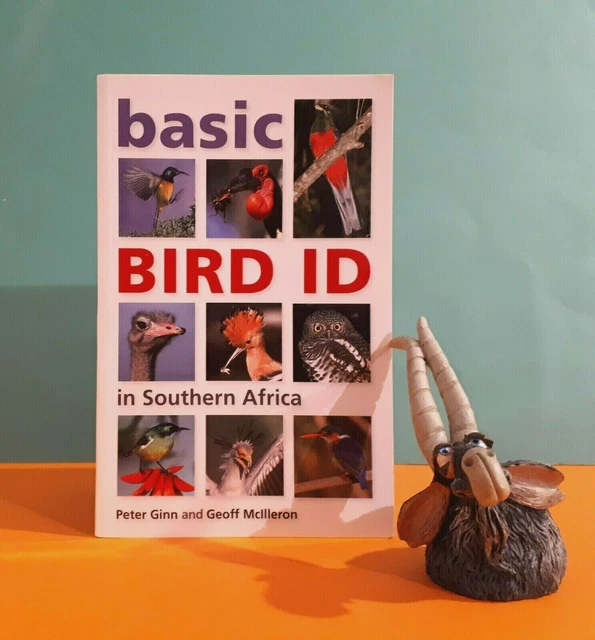 PETER GINN: BASIC Bird ID in Southern Africa/bird identification/field ...