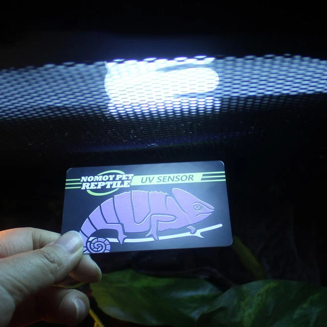 UVB TEST CARDS Reptiles UV Test Card Life Effective Tests Measurement ...