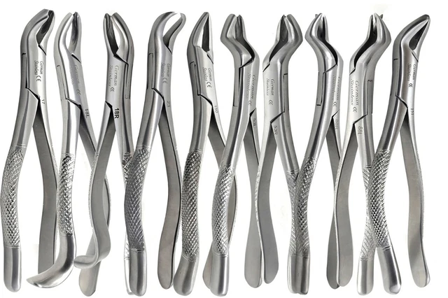 10 PCS DENTAL Extraction Extracting Forceps Stainless Steel Ce ...