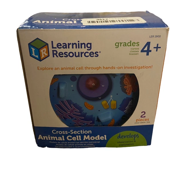 LEARNING RESOURCES CROSS-SECTION Animal Cell Model Soft Foam Early ...