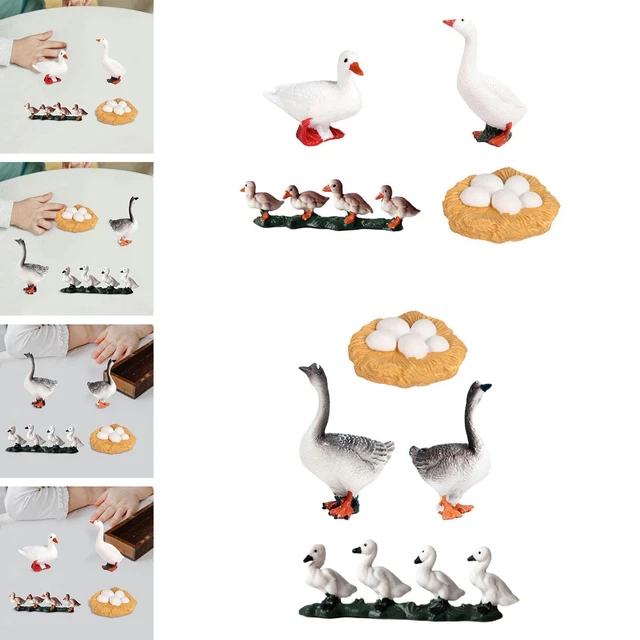 Life Cycle Goose Toys Teaching Tools For Age 3 To 6 Learning Activities £719 Picclick Uk