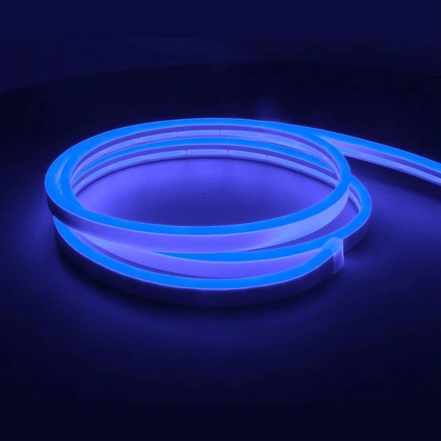 BLUE NEON LED Strip Light 12V Flexible Ribbon Waterproof Flexible 16 ...