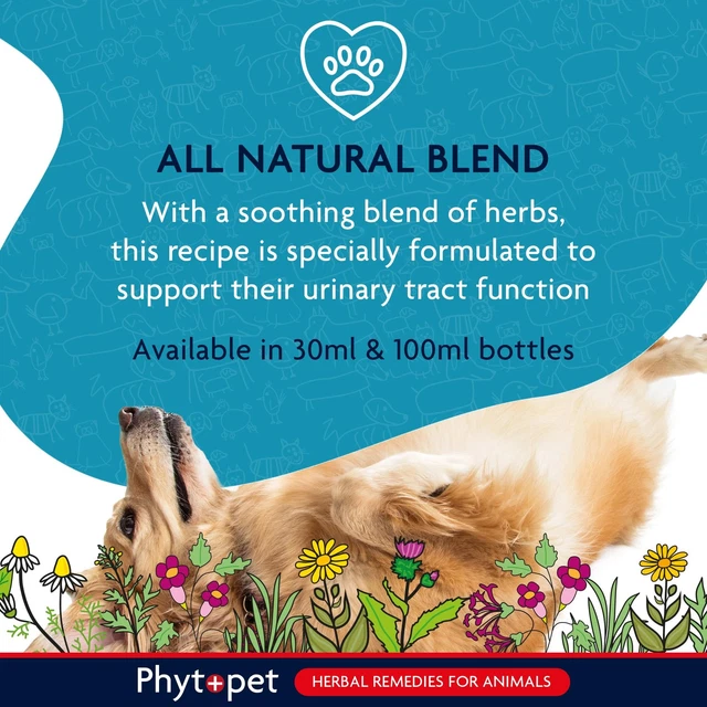 PHYTOPET AQUA ALL Natural Cat and Dog Bladder Control for Small Pets ...