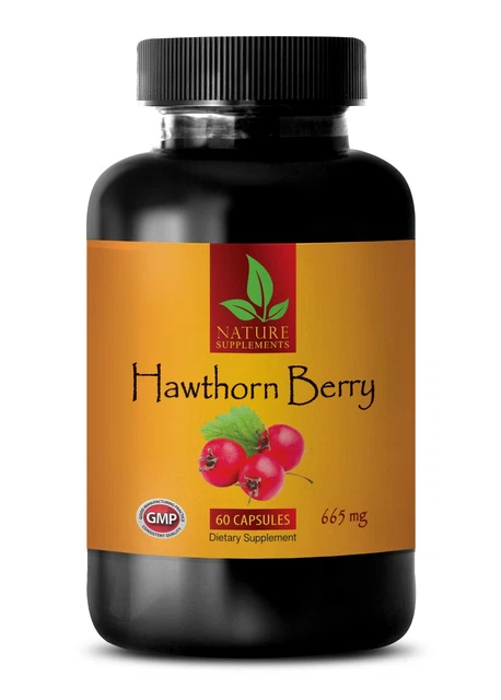 HEALTHY HEART - HAWTHORN BERRY Extract 665mg - blood pressure support ...