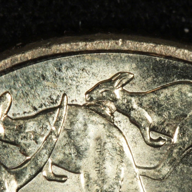 2025 MOR $1 with "Spew Roo" Cud - scarce $19.95 - PicClick AU