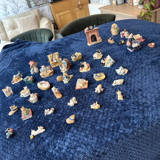 PETER FAGAN COLOUR Box Cats Large Bundle £40.00 - PicClick UK