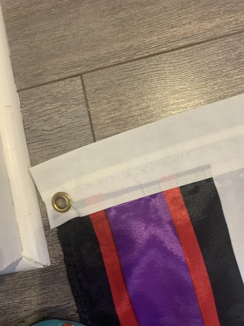 TORONTO RAPTORS 1990S DINO CLASSIC Official NBA 3'x5' Deluxe Banner ...