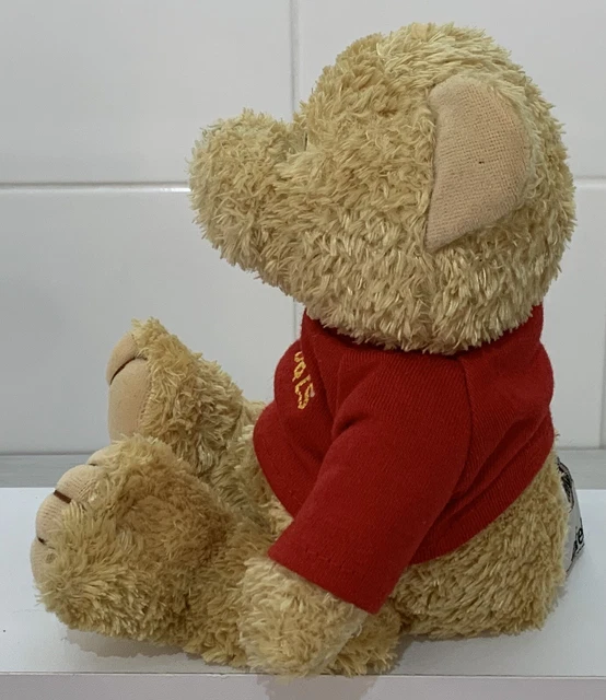 RNLI LIFEBOATS CHARITY Golden Brown Blond Teddy Bear Plush Soft Toy ...