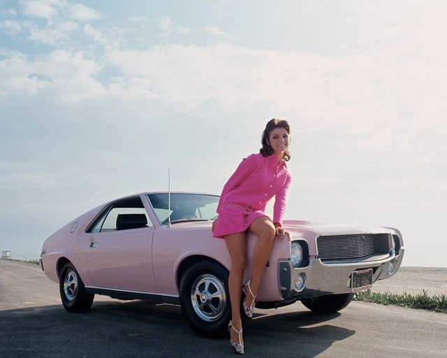 VICTORIA VETRI WHEN Dinosaurs Ruled the Earth Hammer 10" x 8 ...