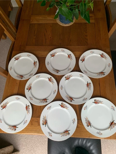 FINE BONE CHINA Pheasant Pattern Dinner Plates x 8 £12.00 - PicClick UK