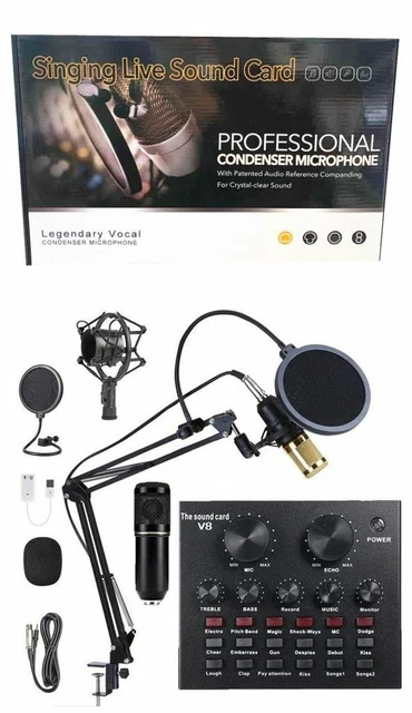 KIT MICRO A Condensateur Professionel Studio Enregistrement Avec Mixer ...