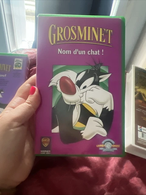 COLLECTION DU 50 ème ANNIVERSAIRE ... LOONEY TUNES ... GROSMINET ...