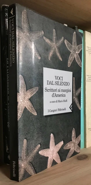 VOCI DAL SILENZIO Scrittori ai margini d'America a cura Maffi ...
