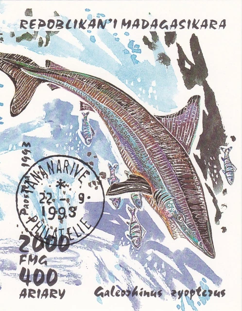 MADAGASCAR: 1993 SHARK, Shark And Fish Bf yt 87 Cancelled $1.77 ...