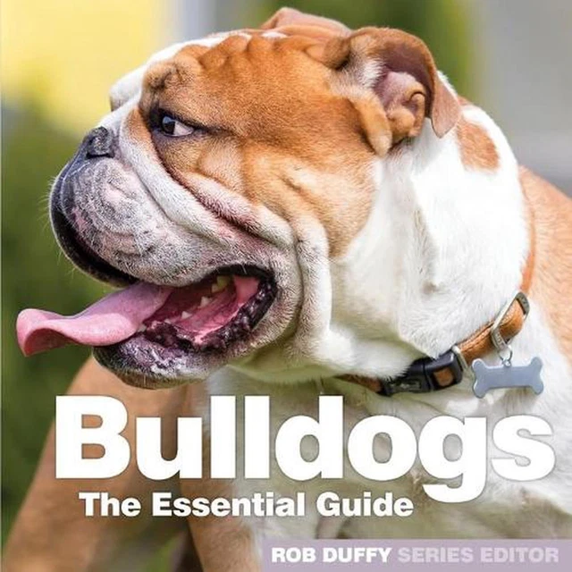 BULLDOGS: THE ESSENTIAL Guide by Robert Duffy (English) Paperback Book ...
