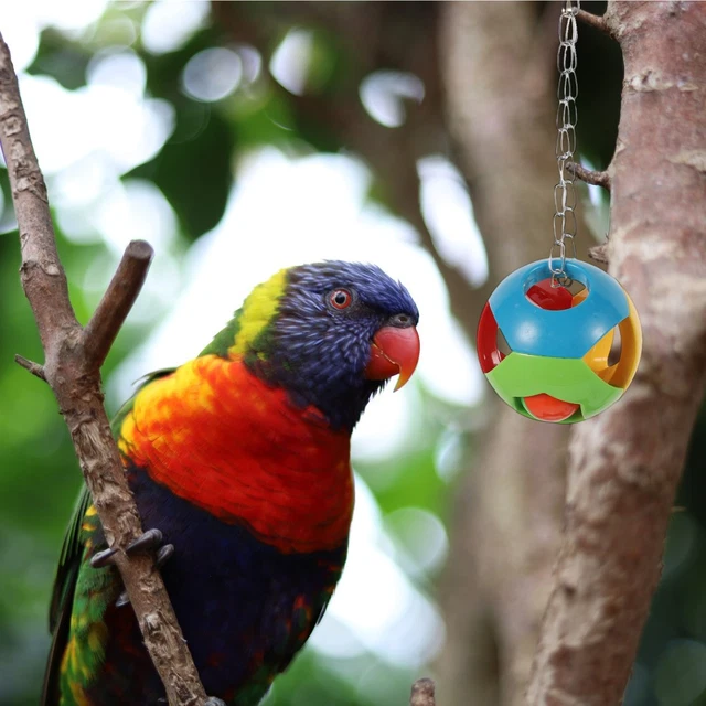 BIRD BITING TOY Parakeets Chewing Hanging Toys Parrot Perch Wheel $20. ...