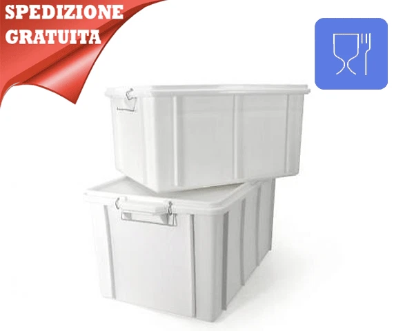 CONTENITORE PLASTICA CON Coperchio Cassetta Box EUR 26,07 - PicClick IT