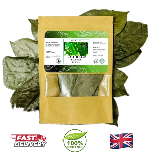 CEYLON ORGANIC DEHYDRATED Soursop Guanabana Graviola Guyabano Leaves ...