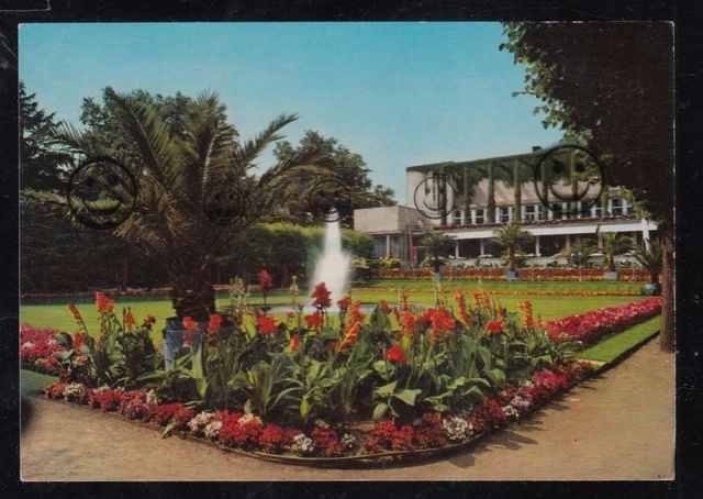 662O) AK Frankfurt am Main Palmengarten Pflanzen Blumen Hessen EUR 1,00 ...