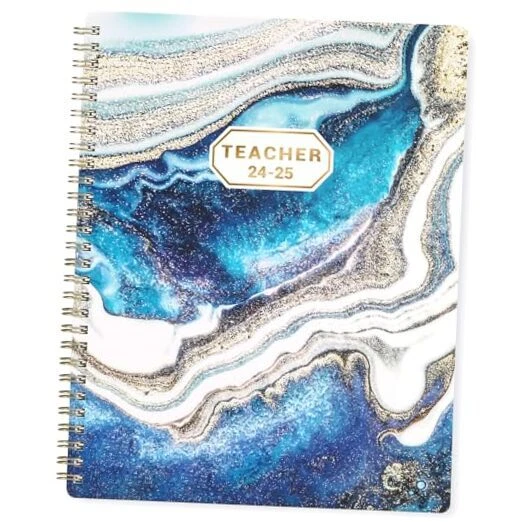 TEACHER PLANNER 2024-2025 - 2024-2025 Planner, July 2024-June 2025, £21 ...