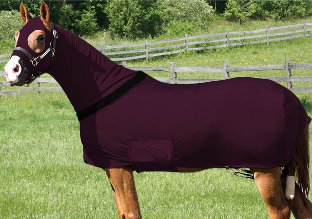 HORSE STRETCH FULL Body Rug Hood / Full body with Zip In LARGE ...