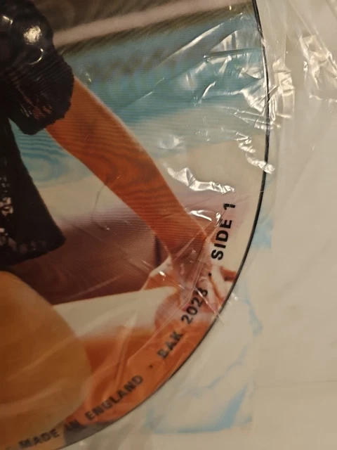 SAMANTHA FOX - Limited Edition Interview Picture Disc - 12" VINYL- BAK ...