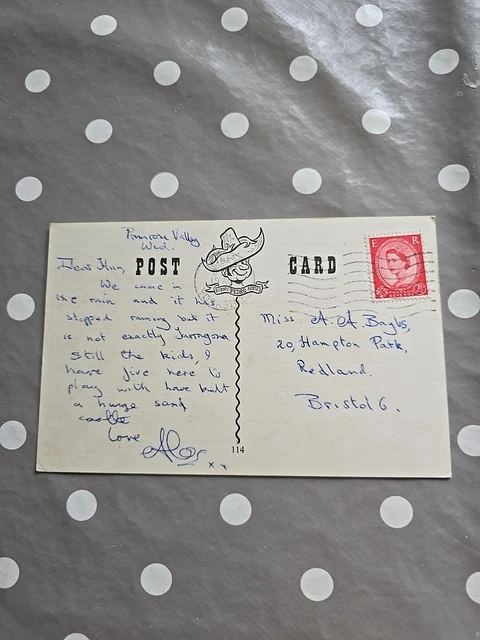 VINTAGE SAUCY SEASIDE Comic Postcard Sunny Pedro Series No 114 By Pedro ...